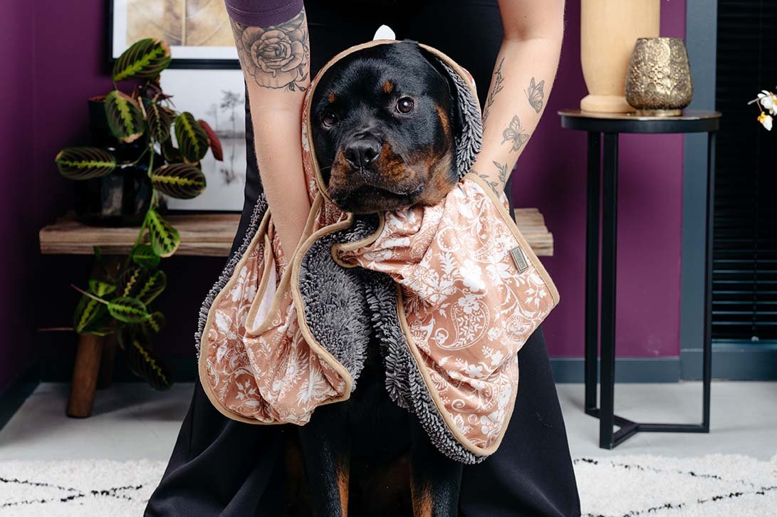 Verbann den Geruch nach nassem Hund – boandflash.com