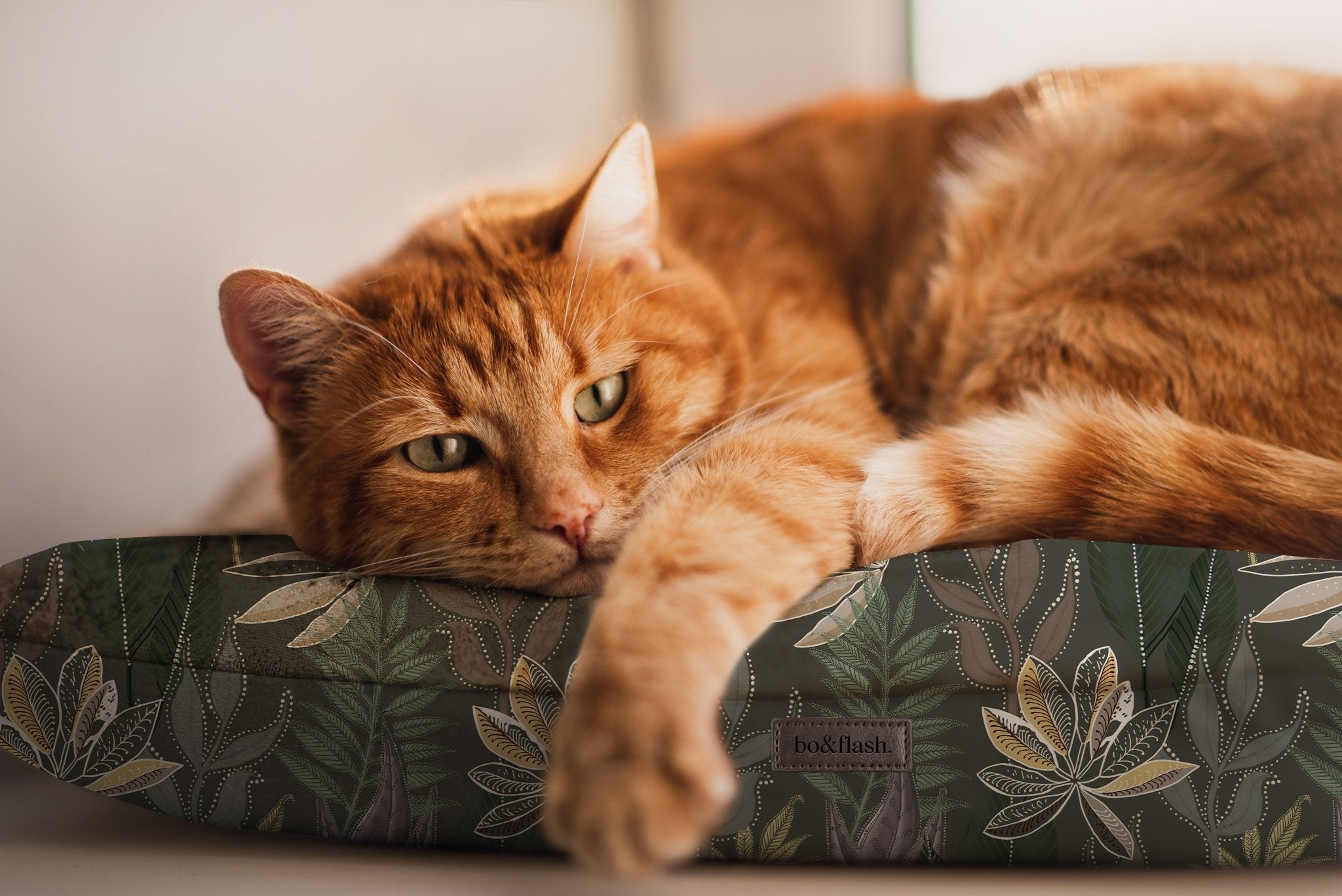 Forest fusion collection - Design für Hunde und Katzen | bo&flash ...