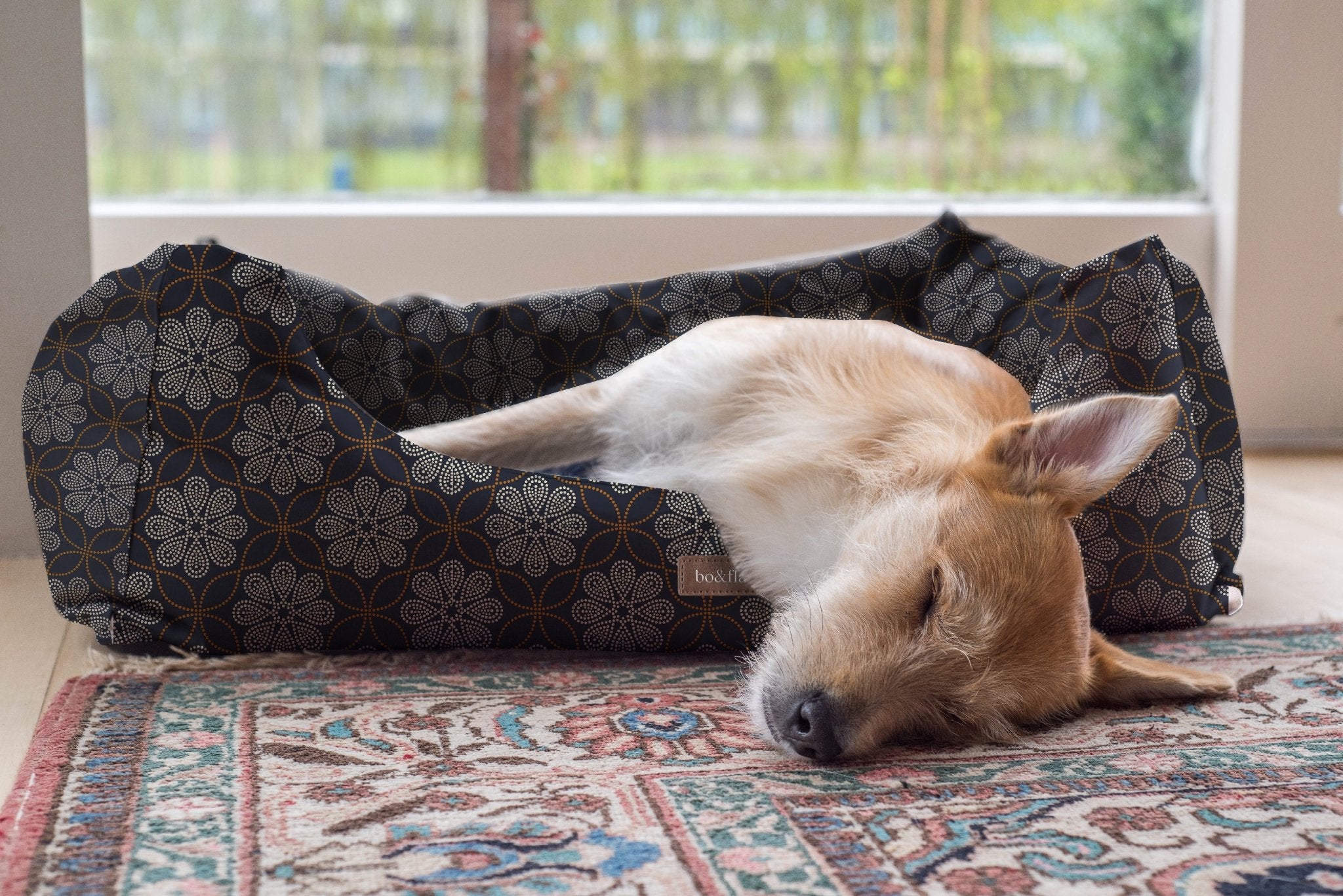 Ethnic Euphoria collection - Design für Hunde und Katzen | bo&flash ...