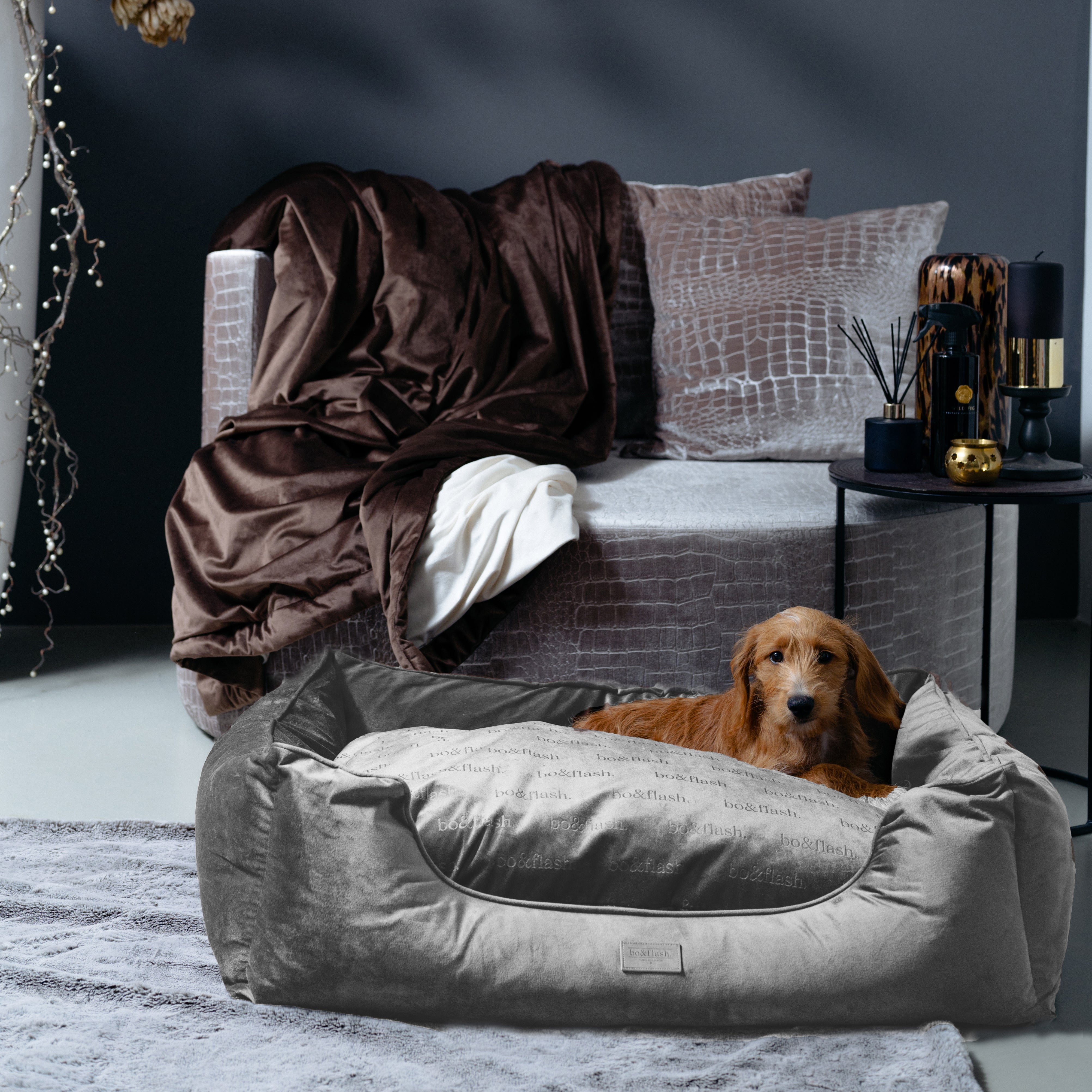Signature collection - Design für Hunde und Katzen | bo&flash ...