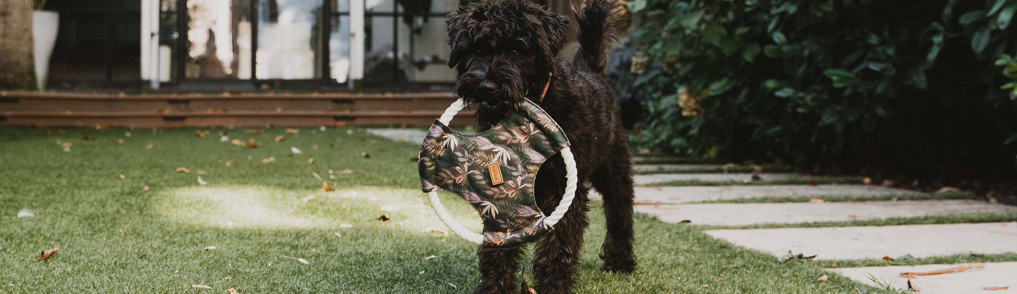 bo&flash - Premium Tierzubehör und -essentials – boandflash.com