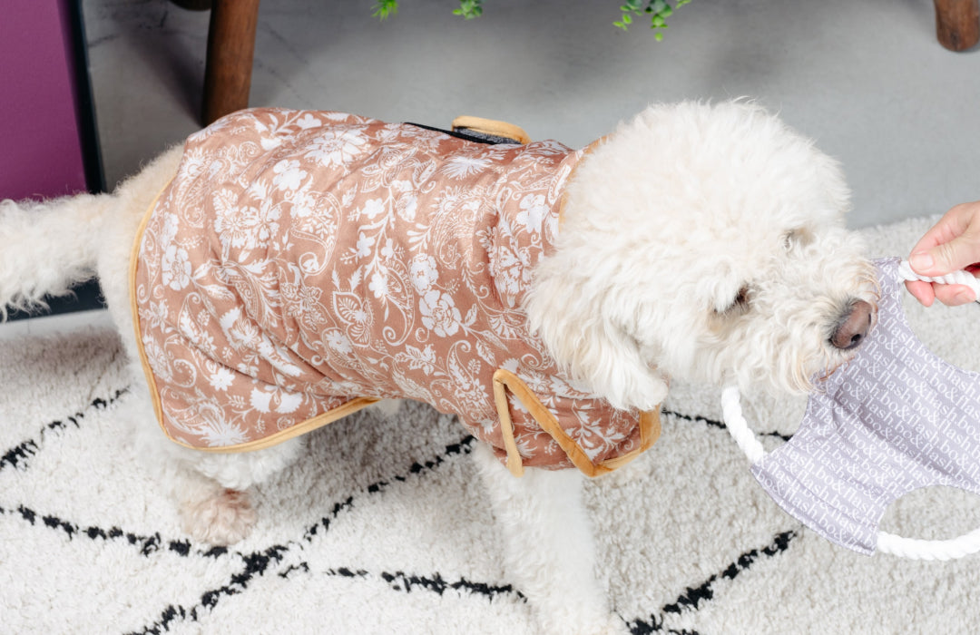 Wellness in höchster Qualität – tagged "Hundebademantel" – boandflash.com