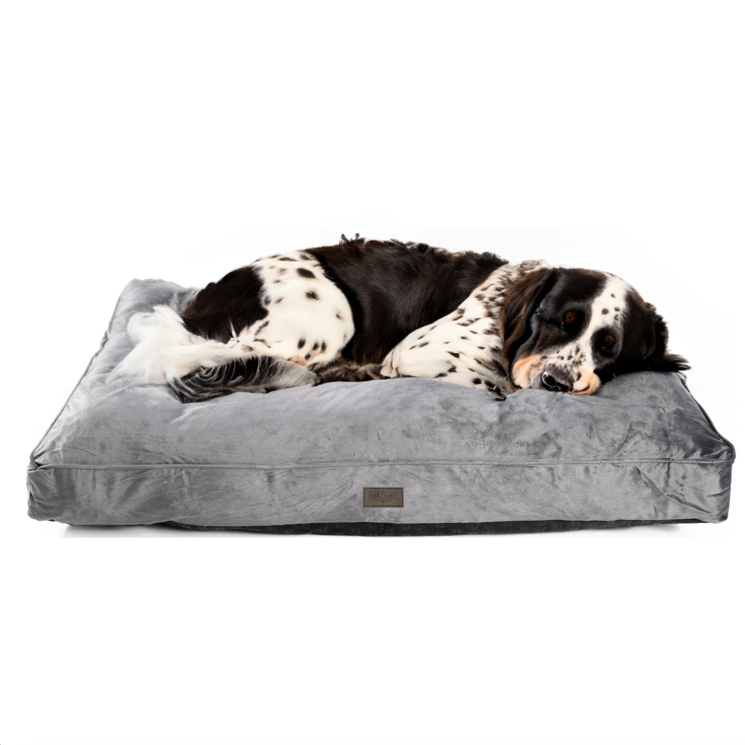 Hundekissen Madison Dark Grey - Design & Nachhaltigkeit | bo&flash ...