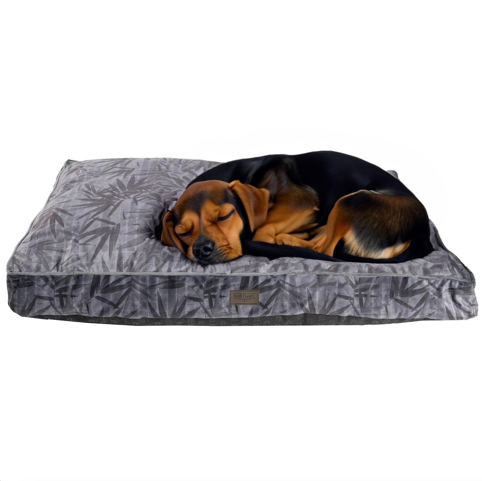 Hundekissen Madison Ilse - Design & Nachhaltigkeit | bo&flash ...