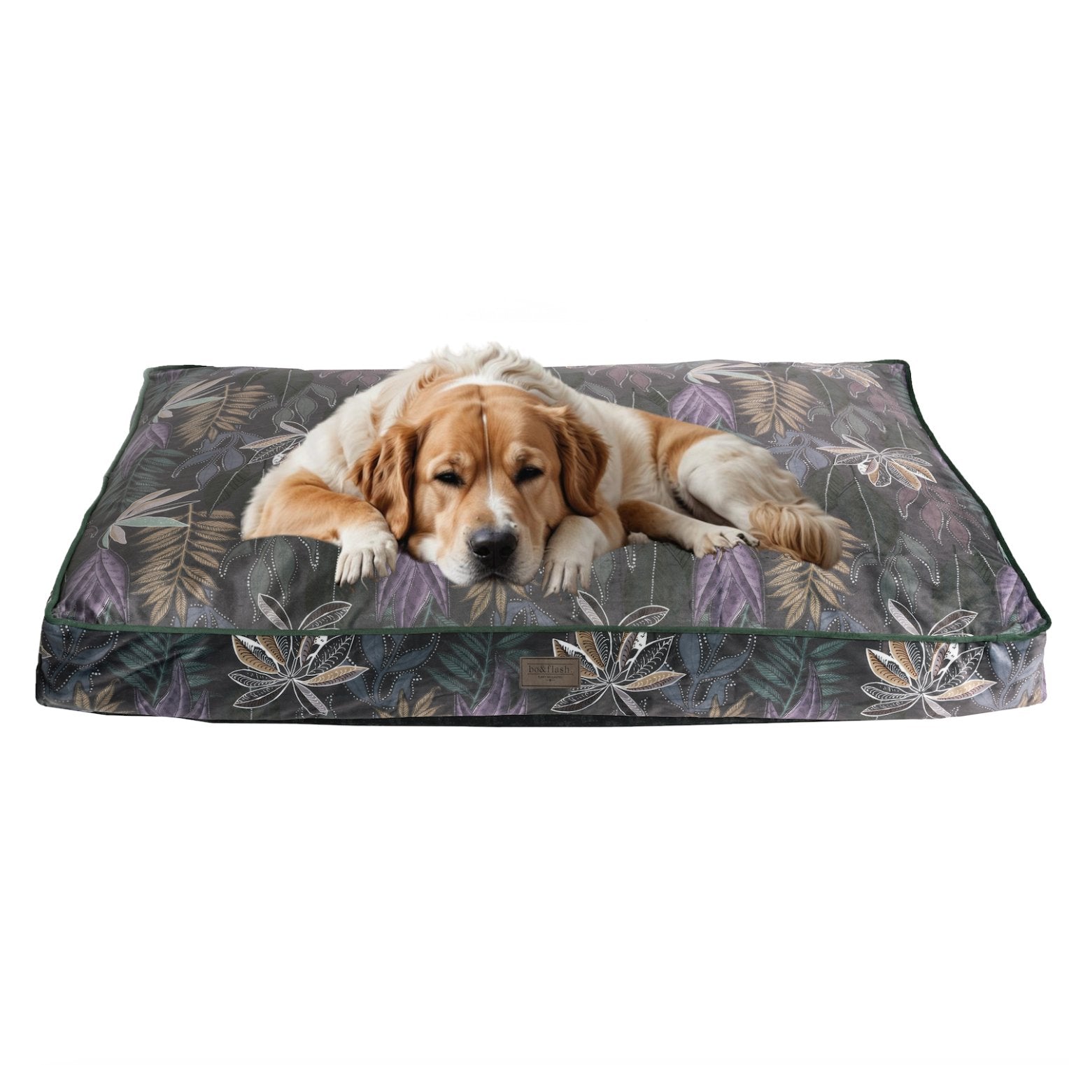 Stylisches & hochwertiges Designer Hundekissen Madison Max| bo&flash ...