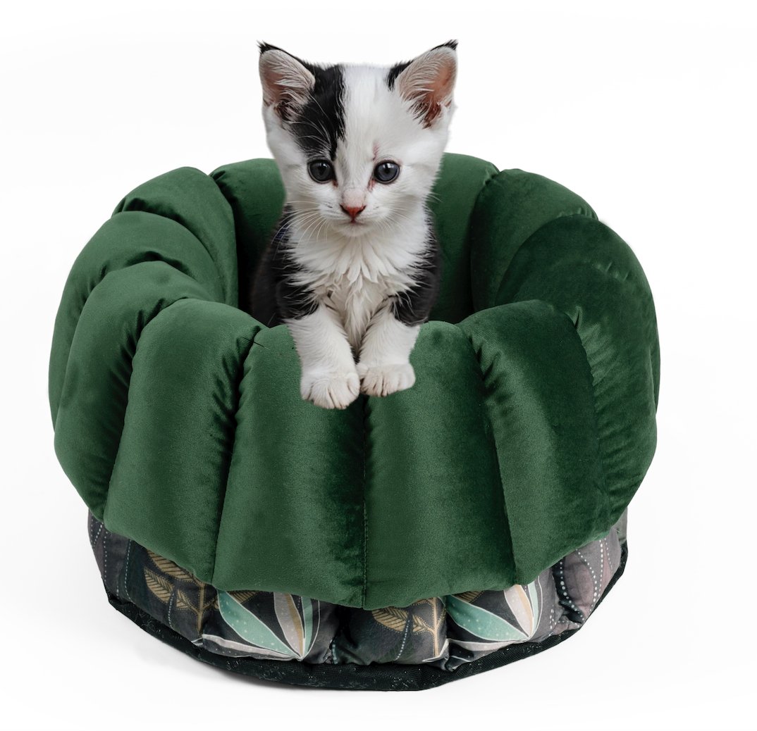Katzenbett Los Angeles Max - Design und Nachhaltigkeit | bo&flash ...