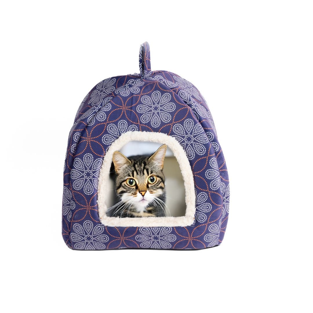 Katzenhütte New York Matthias - Modisches Design & Luxus für Katzen ...