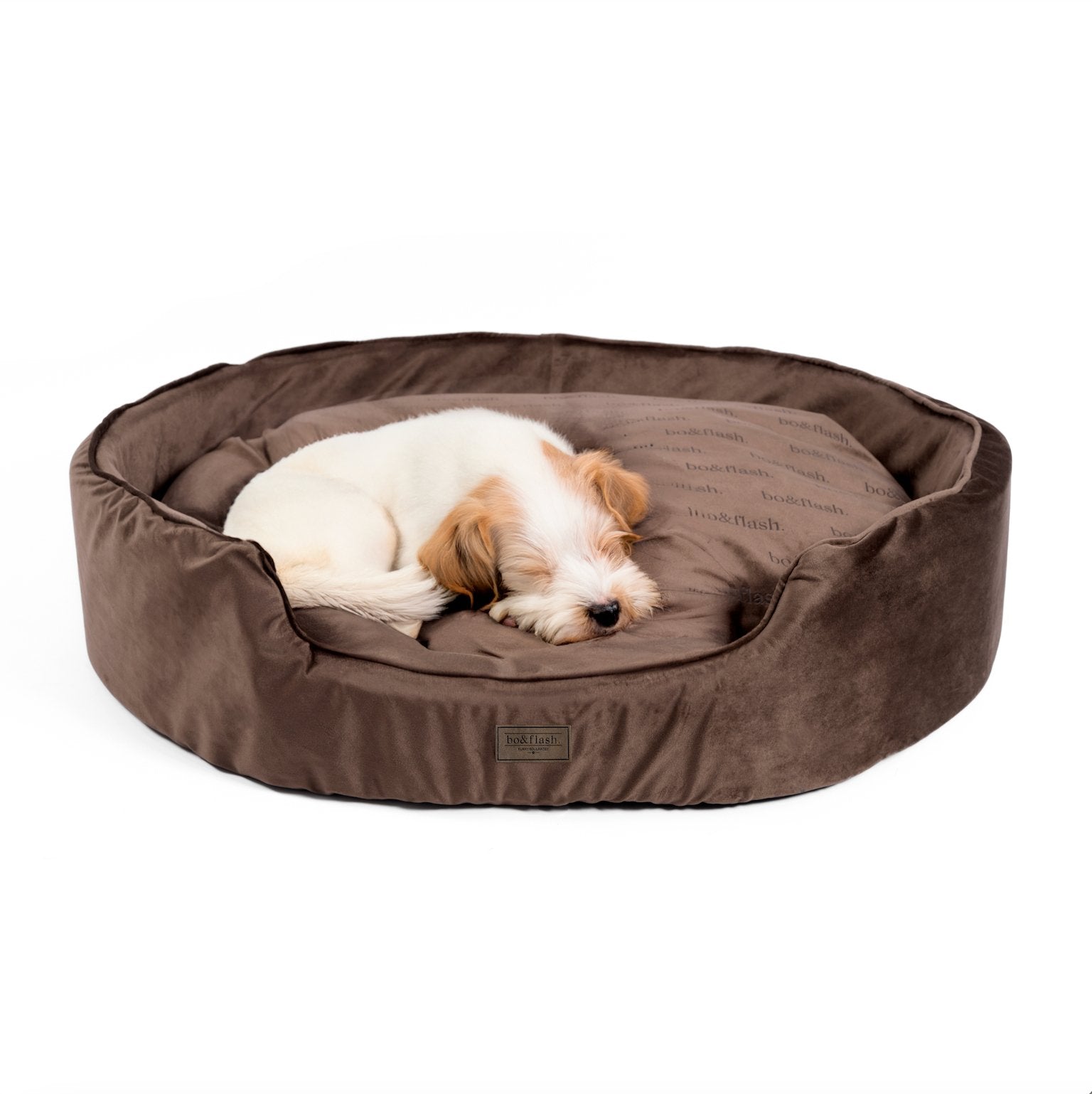 Hundebett San Diego Taupe - Design & Stil für Hunde | bo&flash ...